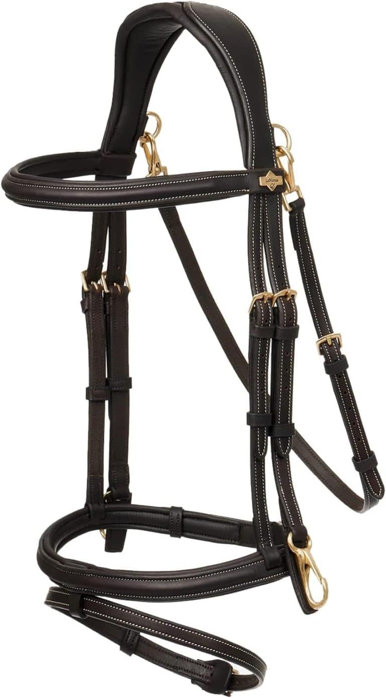 Test : bride d'équitation LeMieux en cuir marron